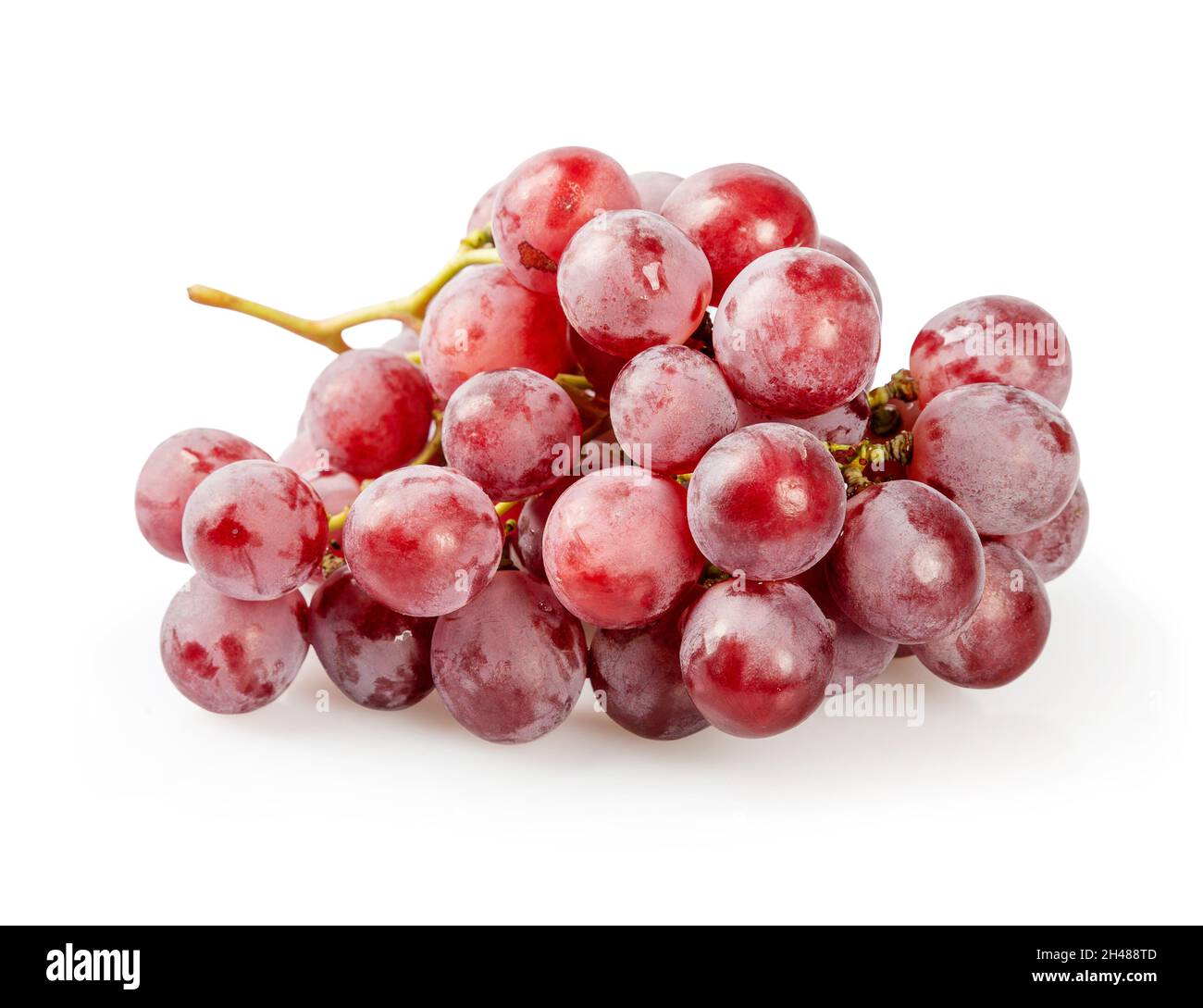 Ripe red grapes on a vine Cut Out Stock Images & Pictures - Alamy
