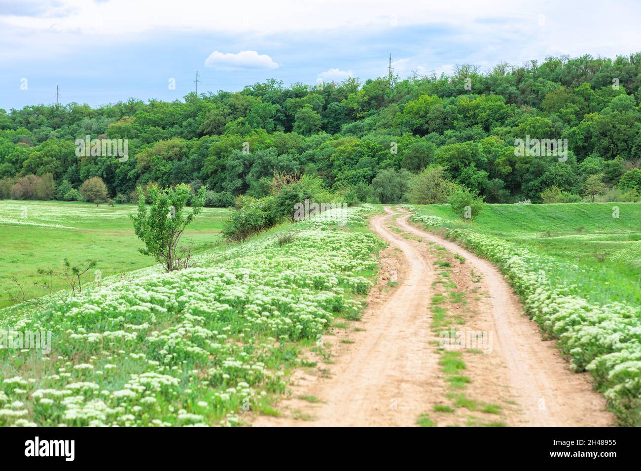 Country road and green meadows in spring . Springtime way scenery Stock ...