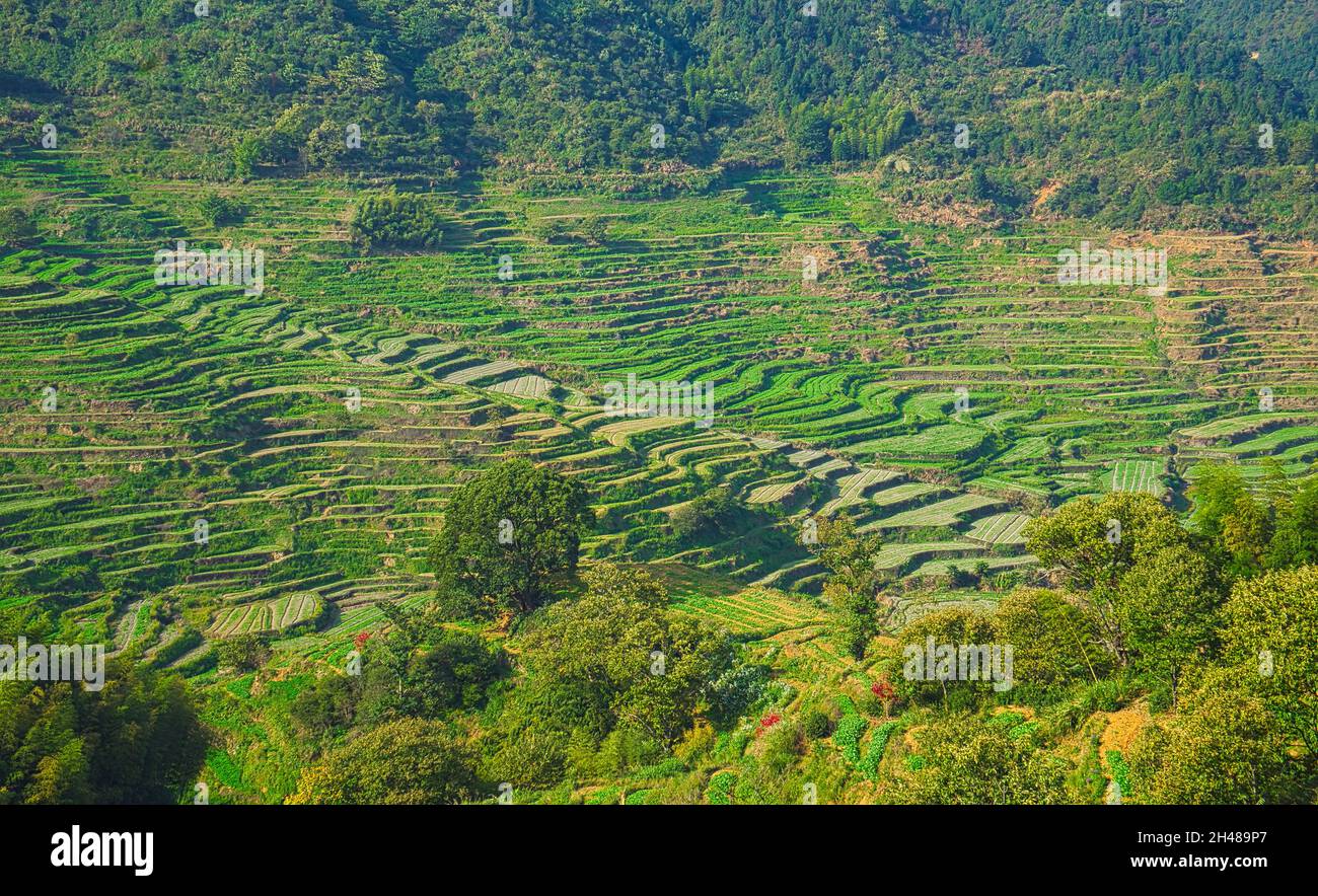 In the valley, the curved terraces are clearly defined. An ancient ...