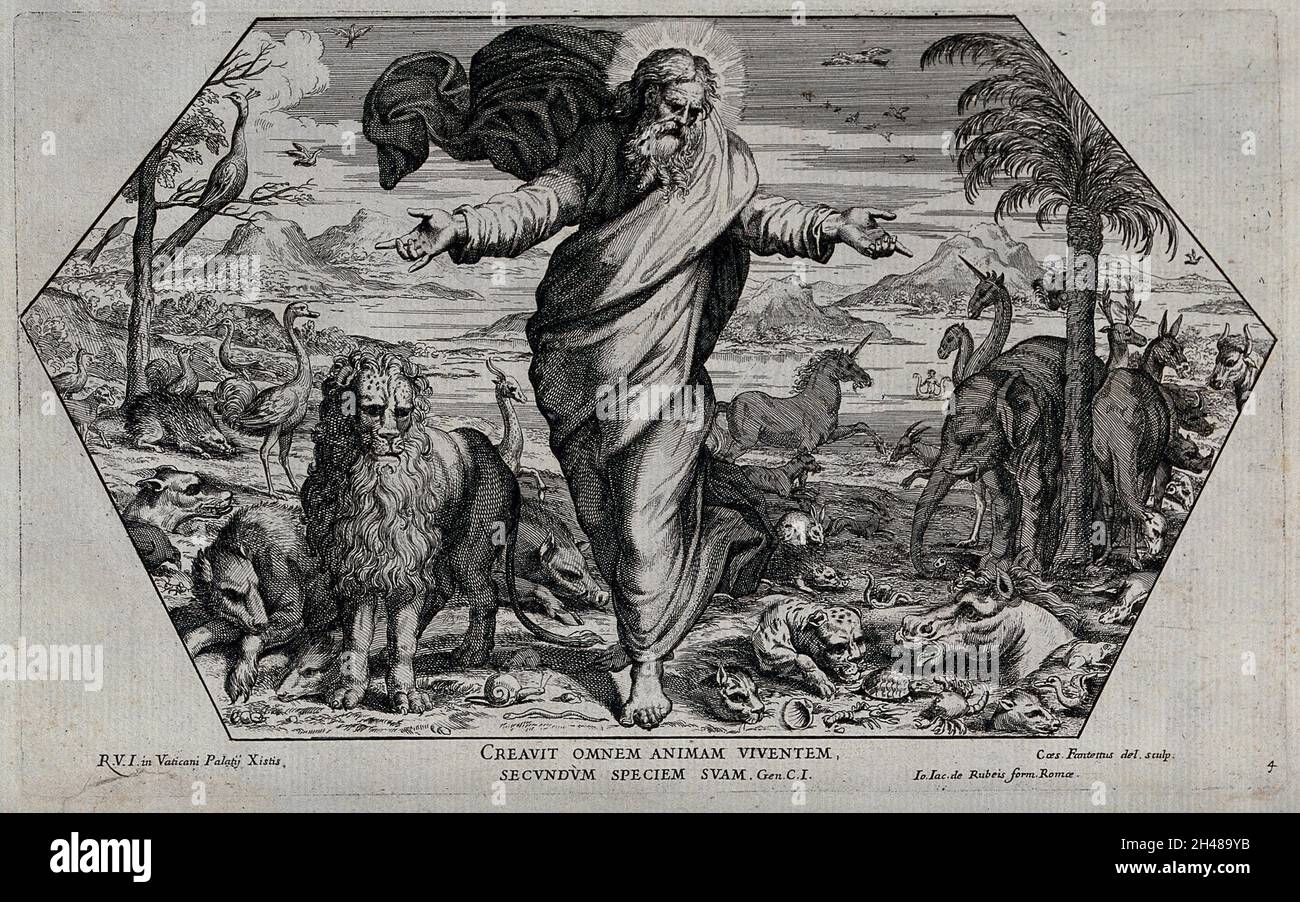 God creating the animals. Etching by C. Fantetti, 1675, after Raphael ...