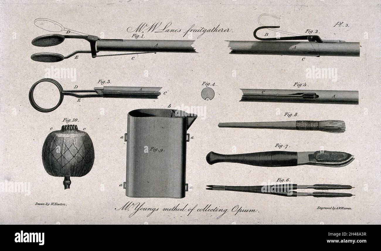 Opium extraction hi-res stock photography and images - Alamy