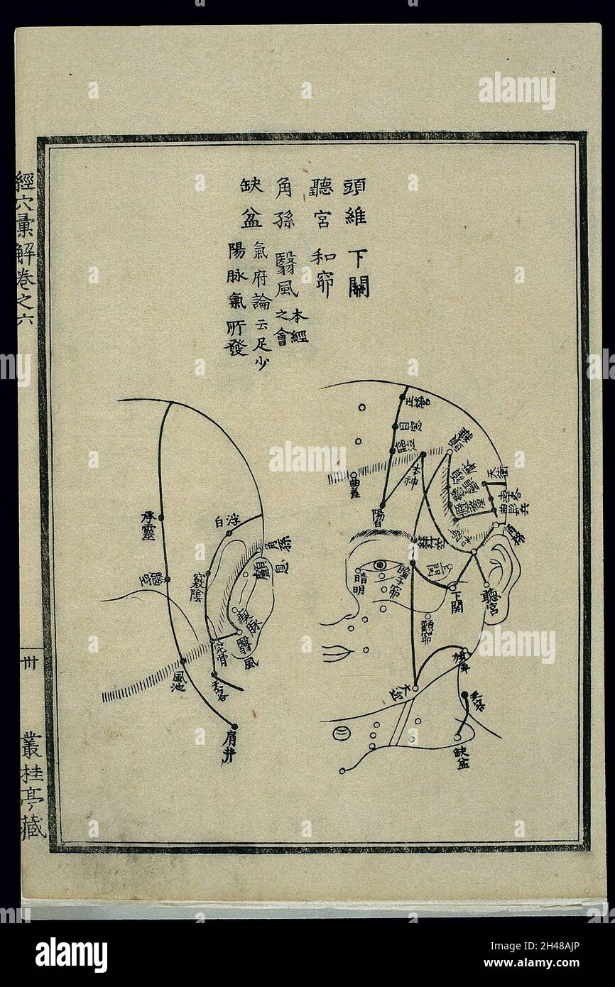 Acu-moxa chart: Gall bladder channel in the head and nec Stock Photo ...