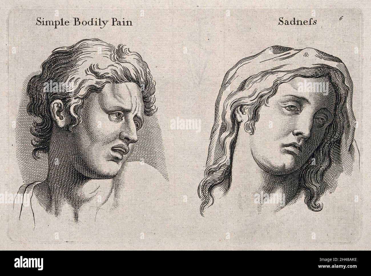 Bodily features hi-res stock photography and images - Alamy