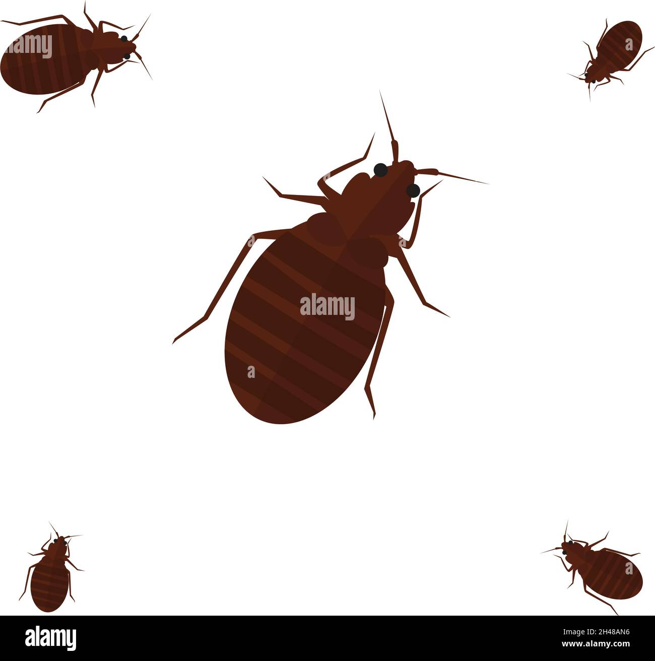 Beb vector Stock Vector Images - Alamy