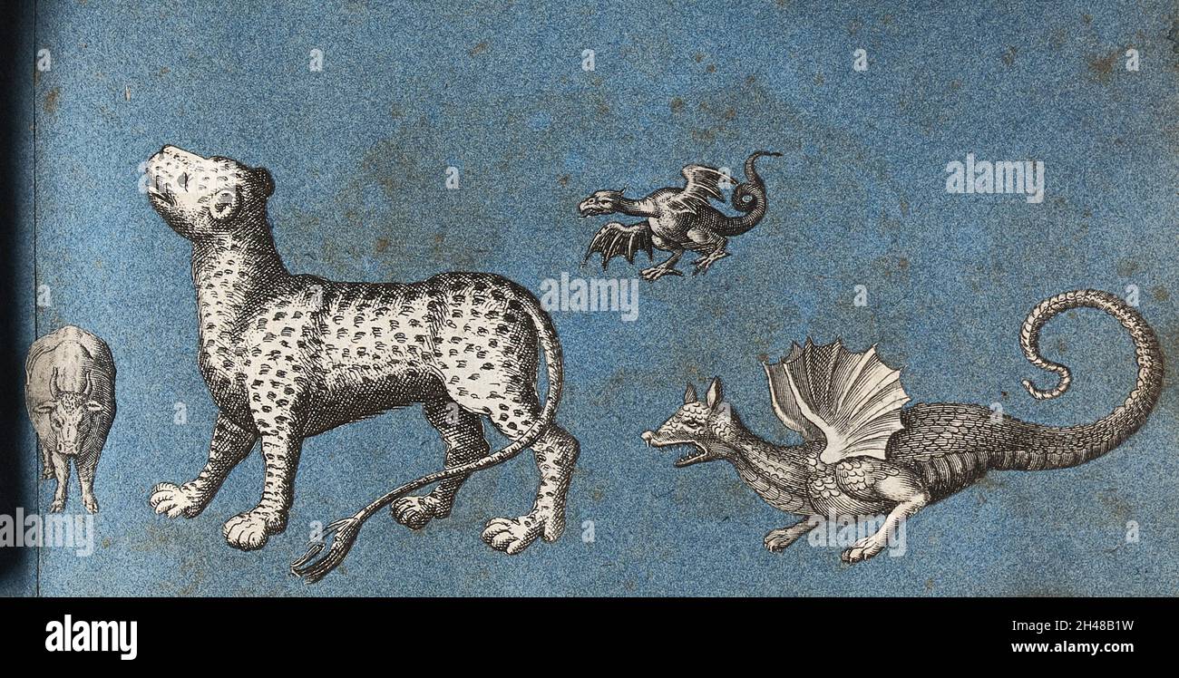 A leopard (?), a cow and two dragons. Cut-out engravings pasted onto ...