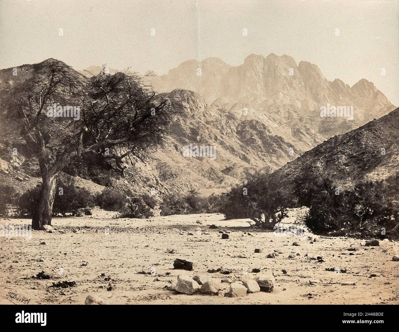 Mount Serbal, Egypt: view from the Wadee Feyran. Photograph by Francis ...