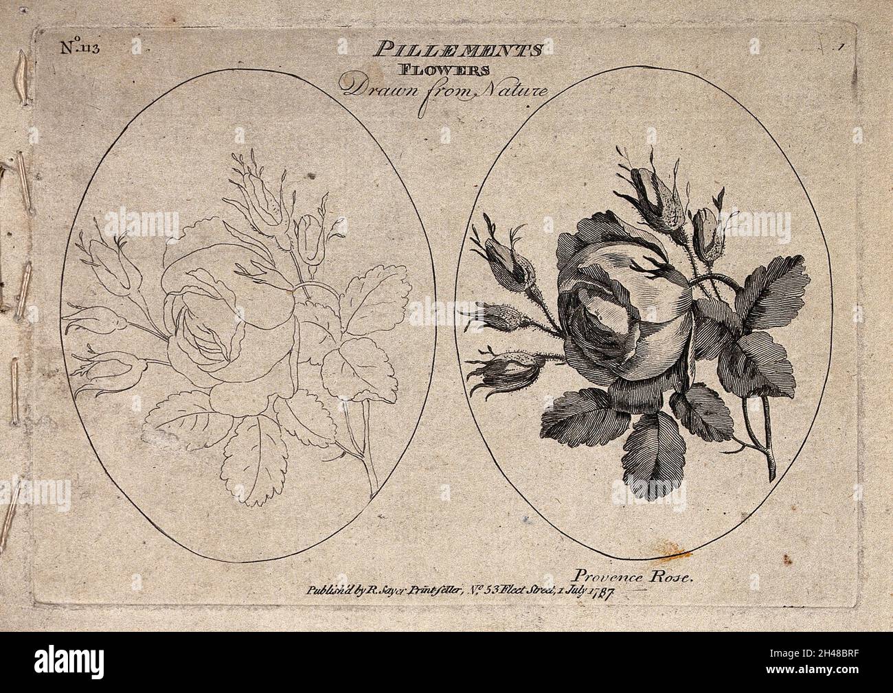 Outline only hi-res stock photography and images - Alamy