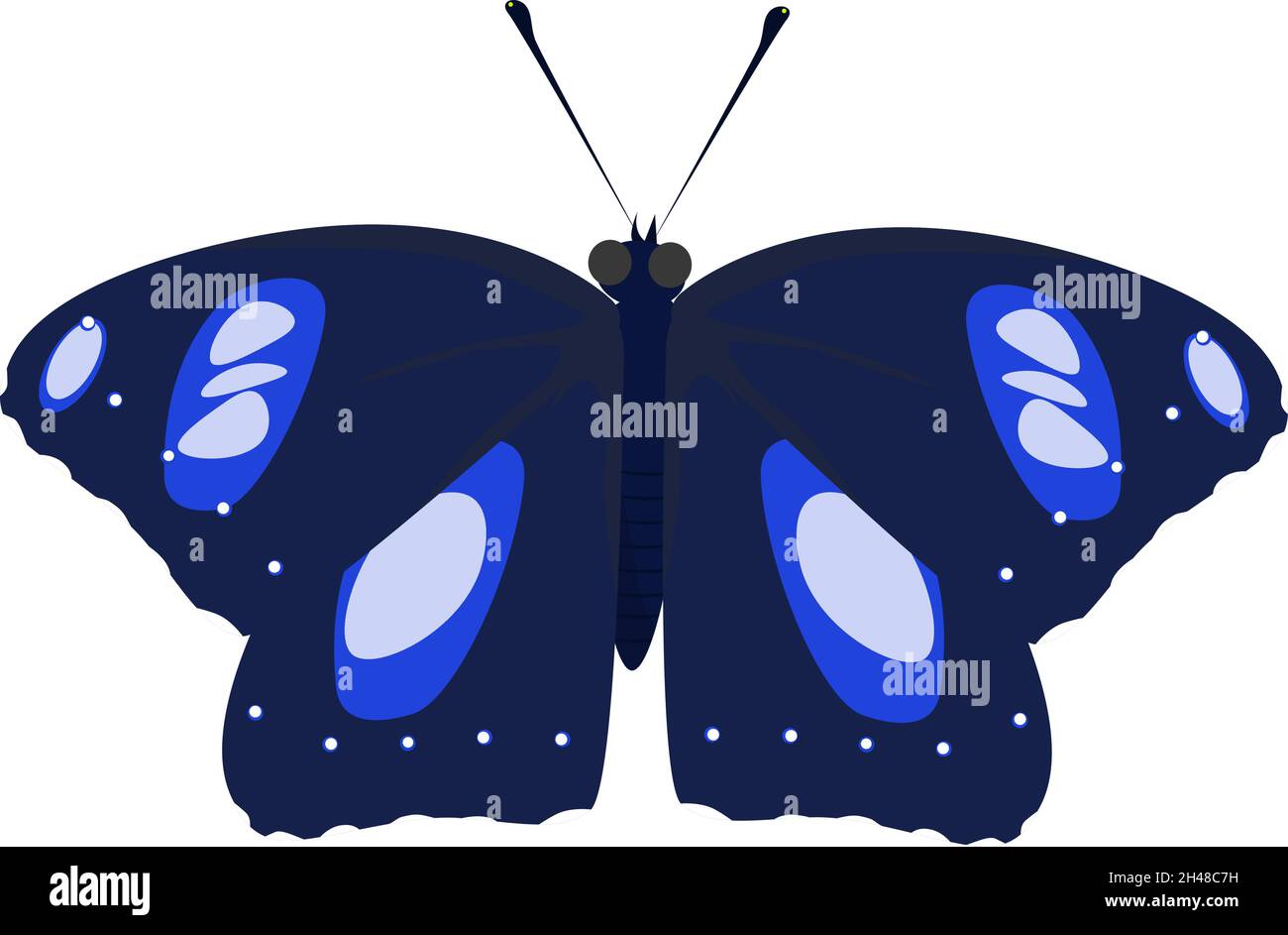 Summer card on blue Stock Vector Images - Alamy