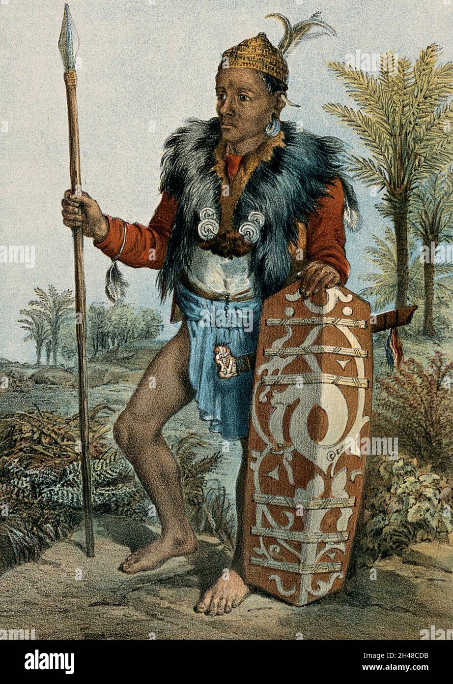 Borneo: a Dayak warrior, standing holding a spear and a shield ...