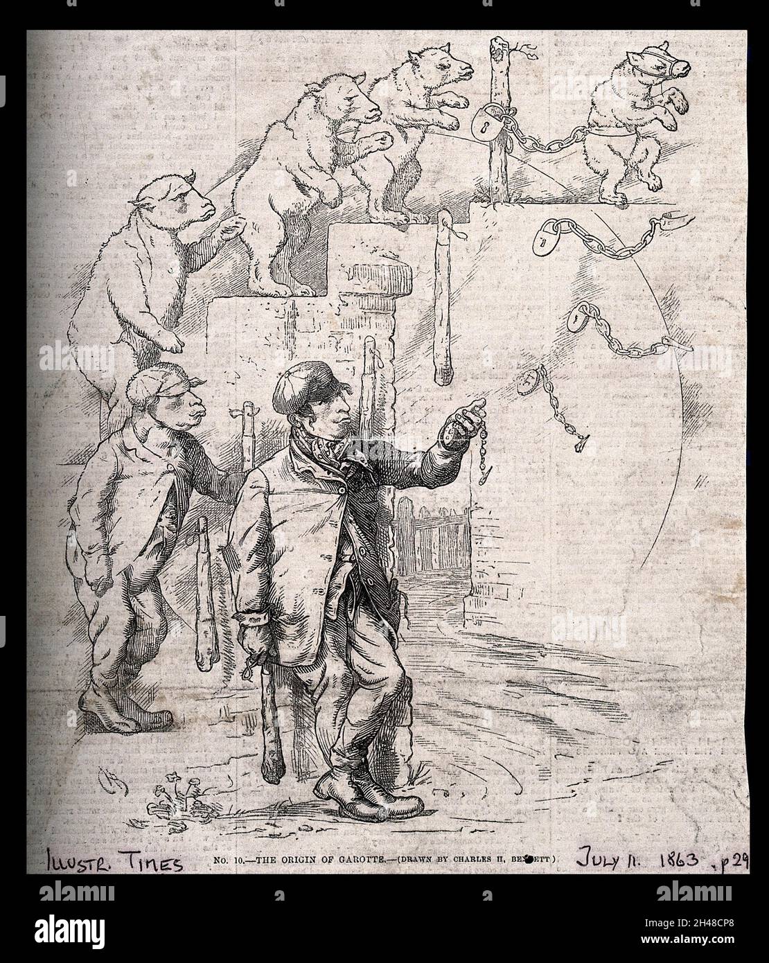 Muzzled bear hi-res stock photography and images - Alamy