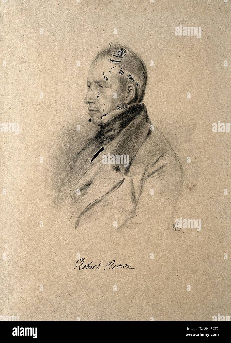 Robert Brown. Pencil drawing by C. E. Liverati, 1841 Stock Photo - Alamy