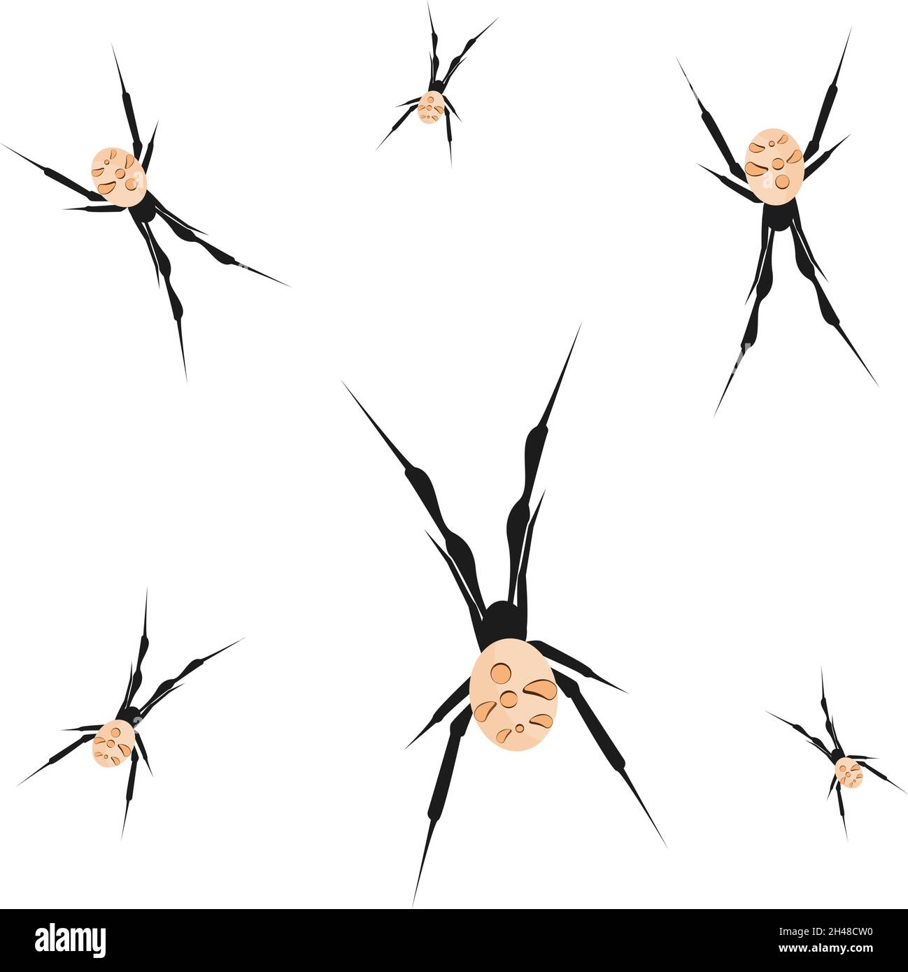 Hairy arachnid Stock Vector Images - Alamy