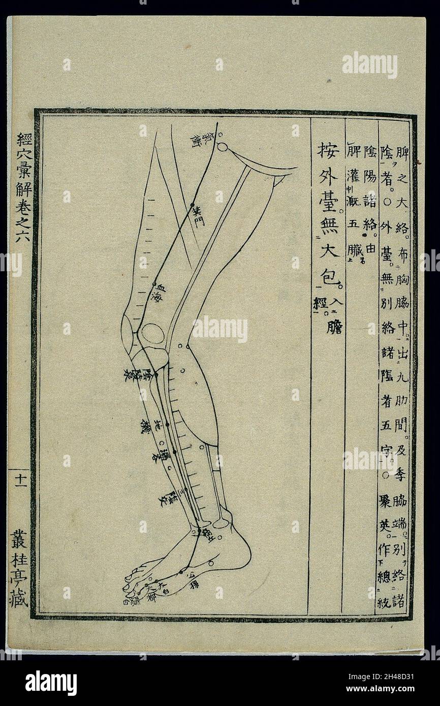 Body meridians chart hi-res stock photography and images - Alamy
