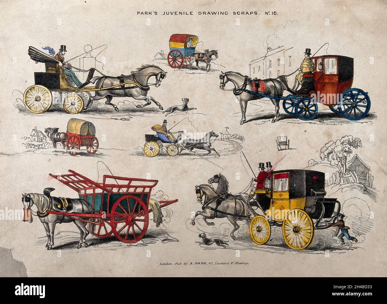 Seven different horse-drawn carts, coaches and carriages. Coloured ...
