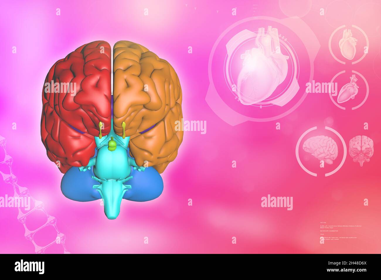 Human brain, cerebrum analyzing concept - very detailed electronic ...