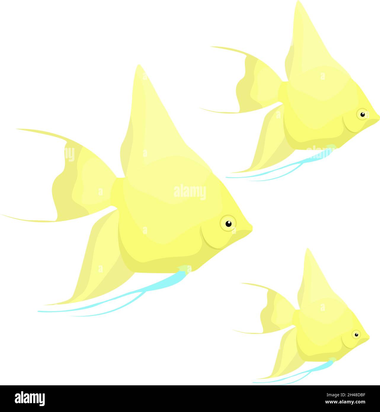 Angel fish, illustration, vector on a white background Stock Vector ...