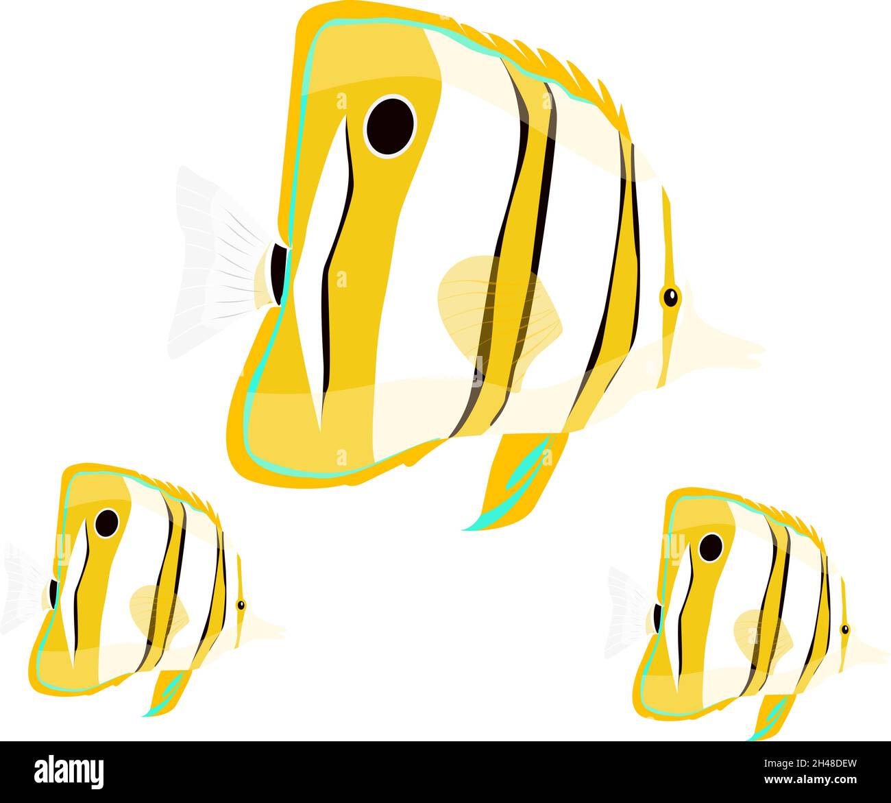 Butterfly fish Cut Out Stock Images & Pictures - Alamy
