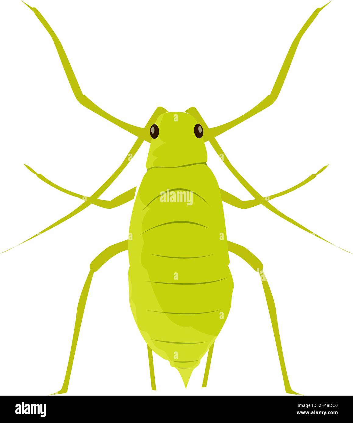 Aphid Stock Vector Images - Alamy