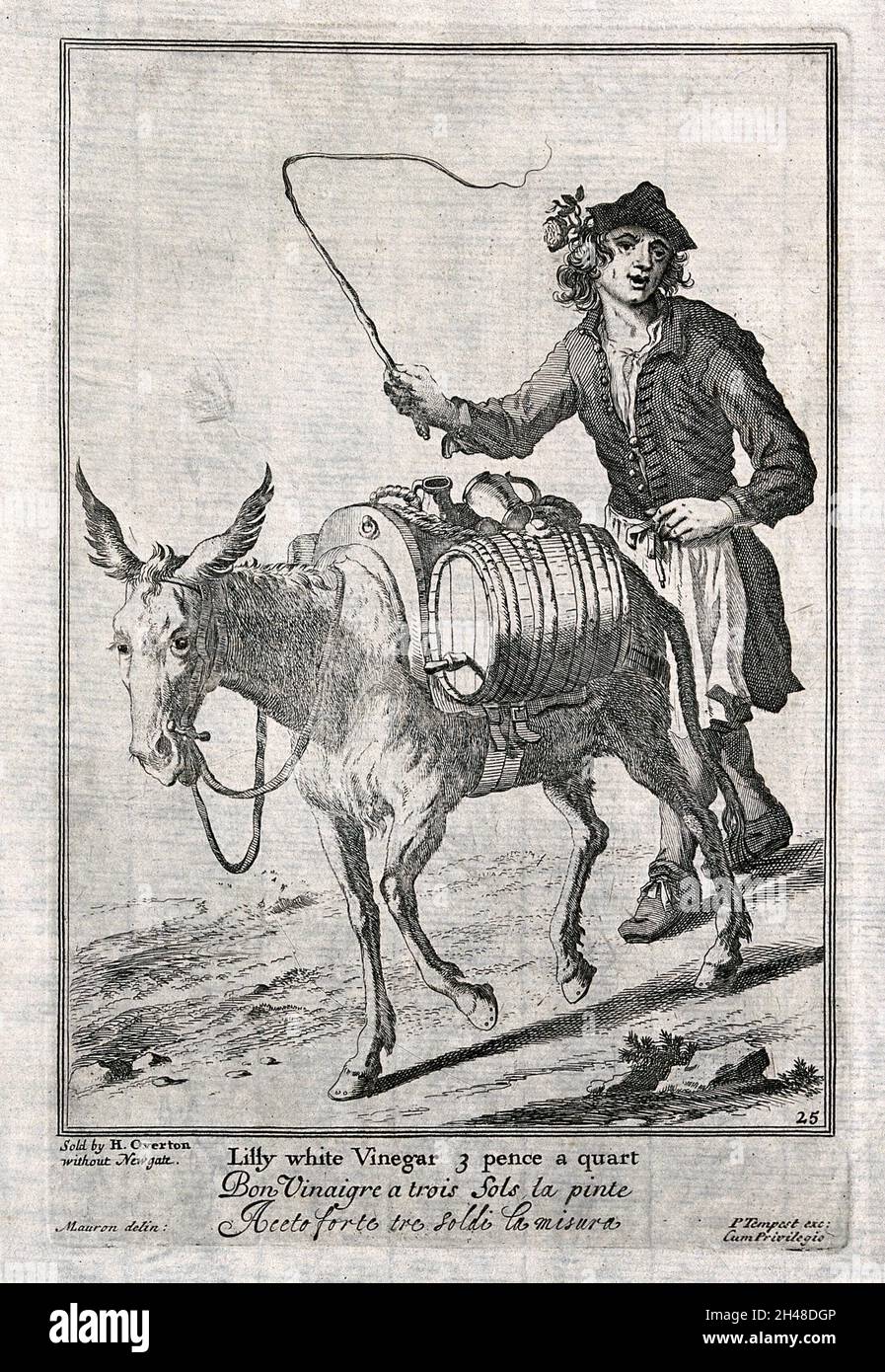 A man is whipping a donkey on as it carries the panniers which hold the ...