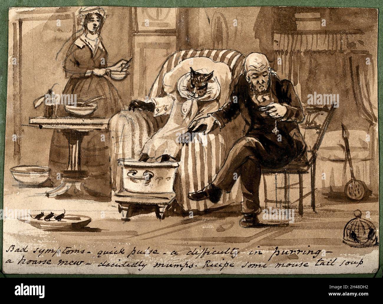 A doctor diagnosing a cat with mumps and prescribing a remedy. Coloured ...