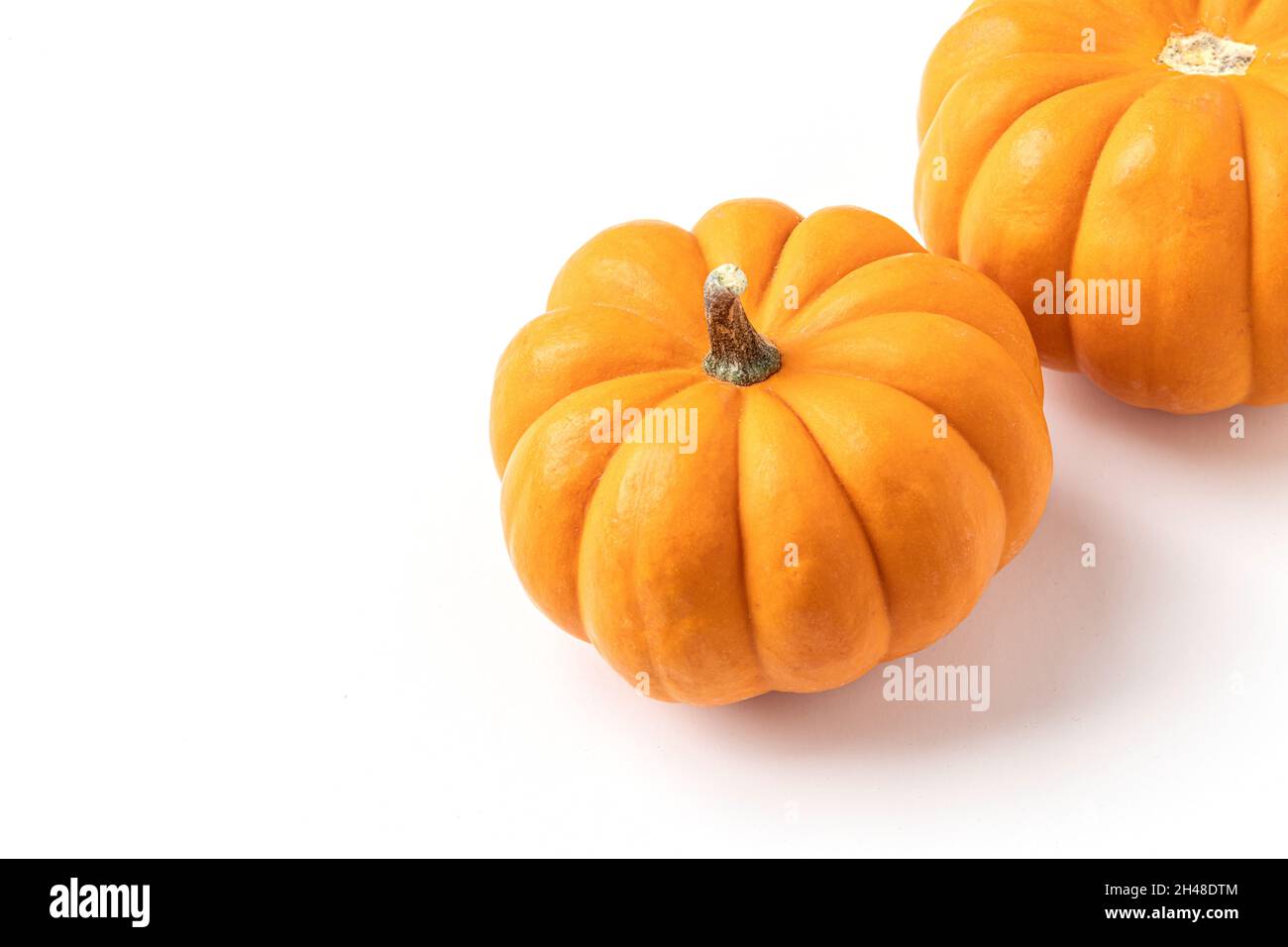 Fresh miniature pumpkin on an isolated white background Stock Photo - Alamy
