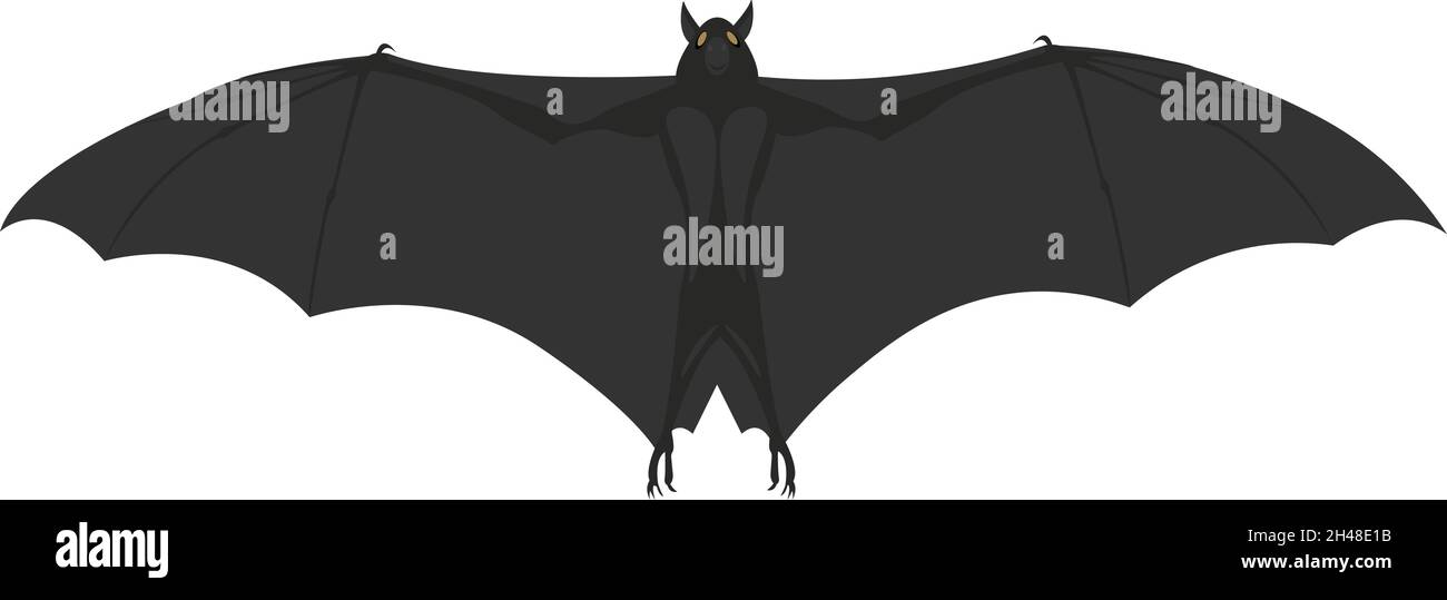 Black bat, illustration, vector on a white background Stock Vector ...