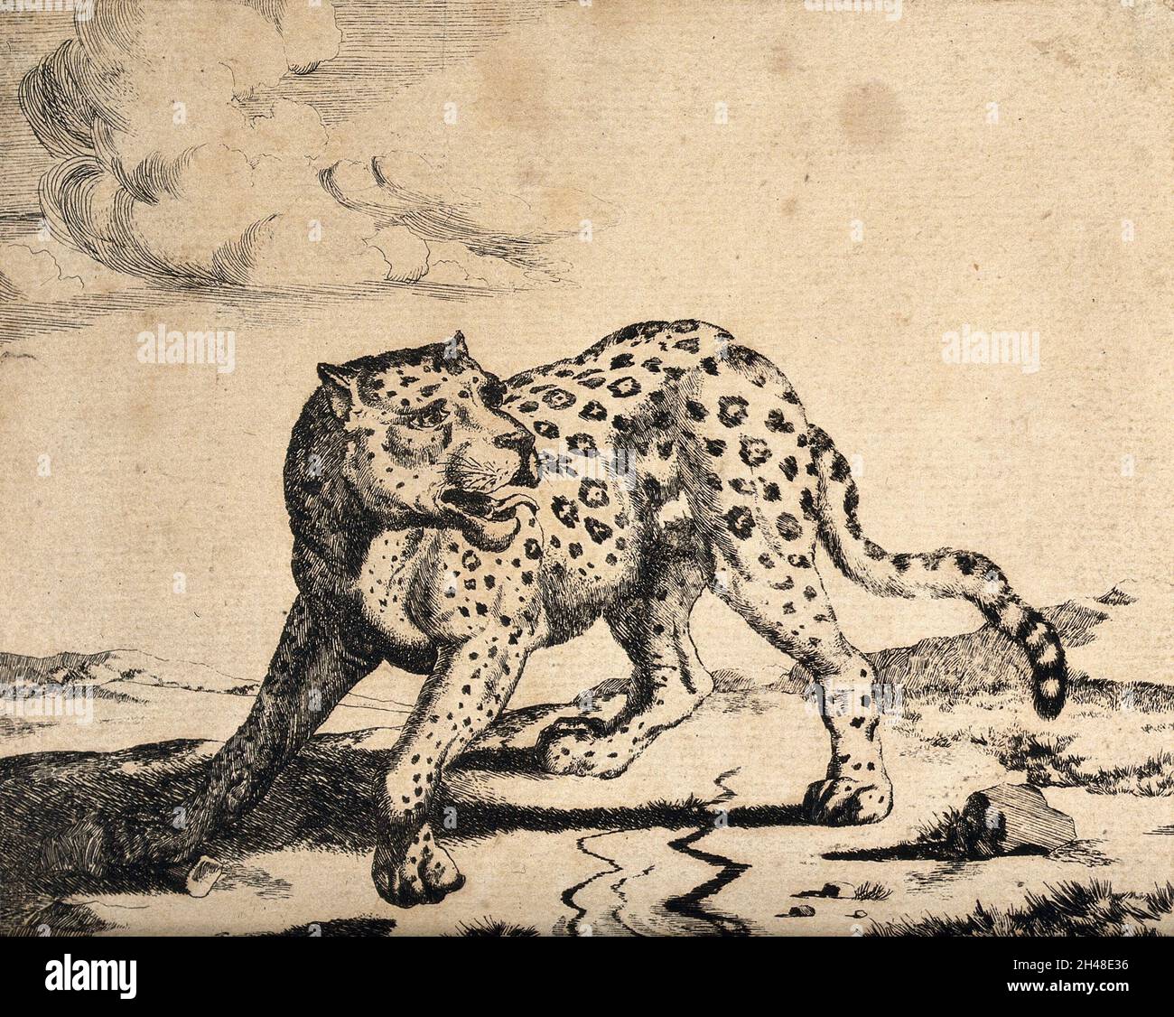 Potter p hi-res stock photography and images - Alamy