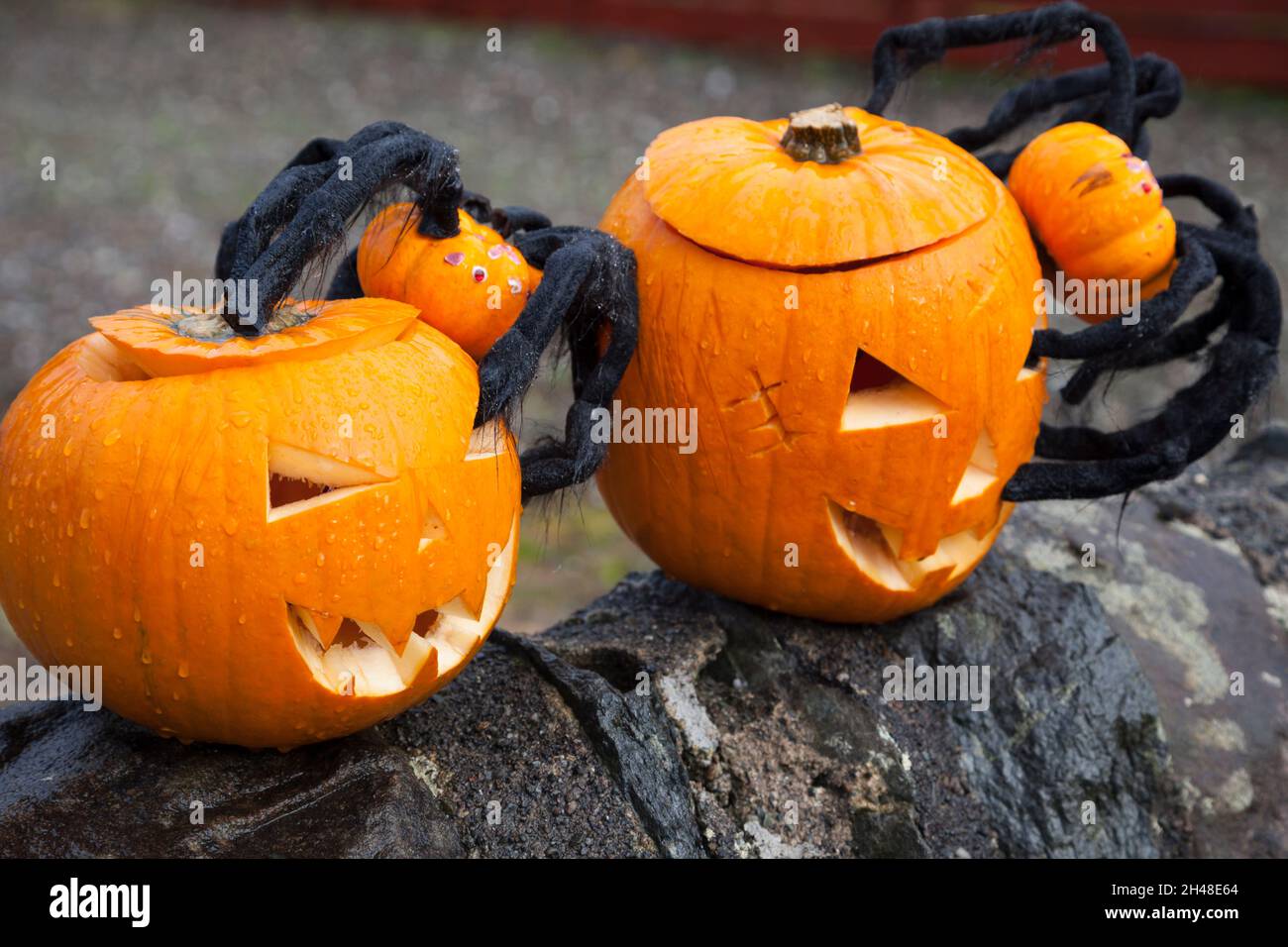 Pumpkin carved with a face for Halloween with spiders Stock Photo - Alamy