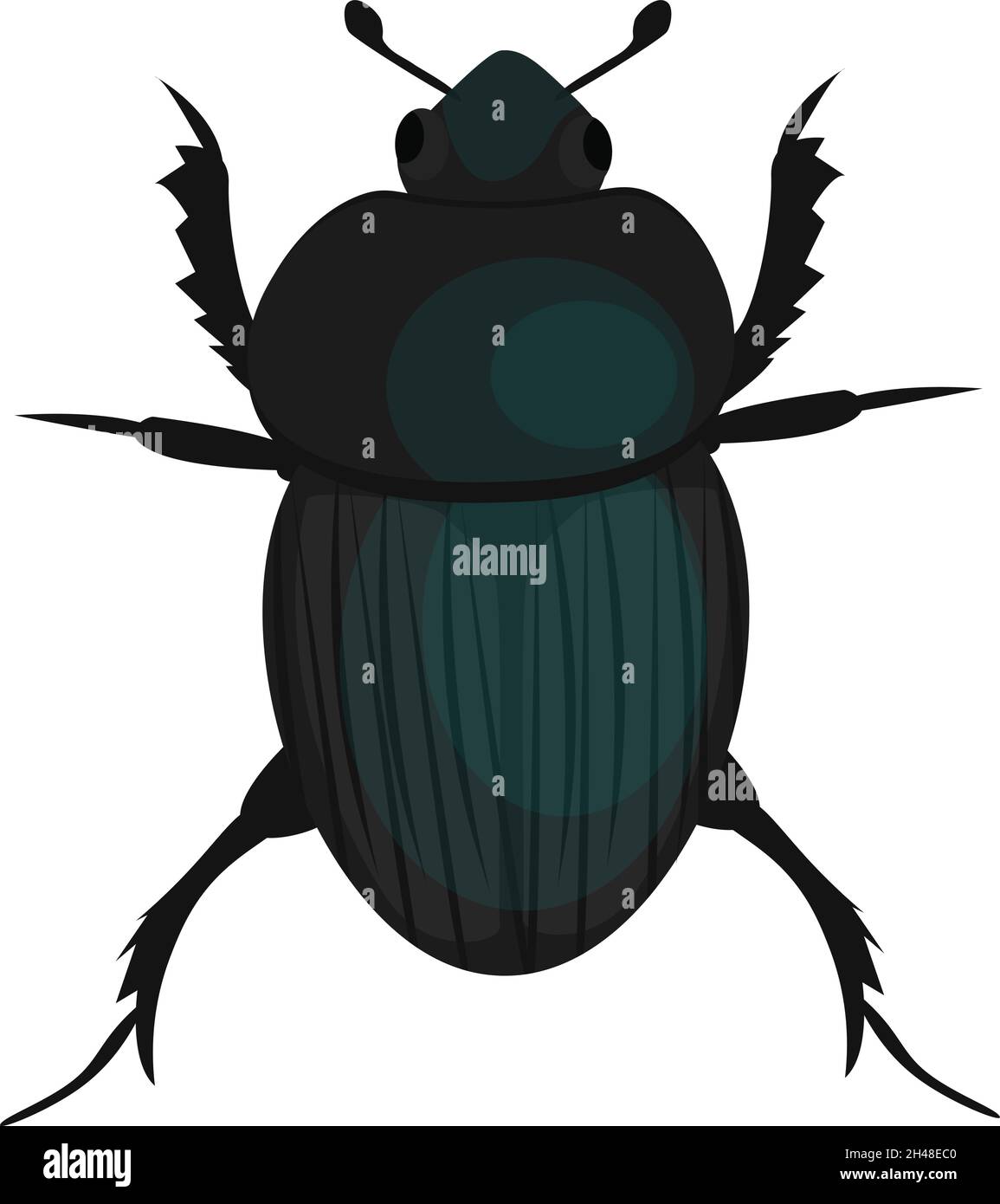 Beetle bug, illustration, vector on a white background Stock Vector ...