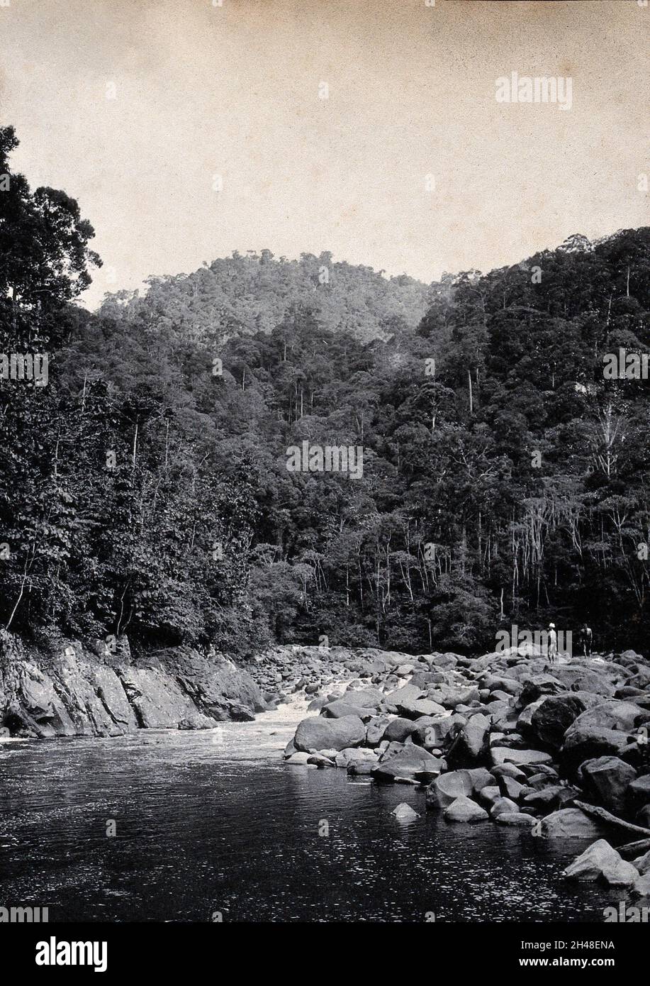 Sarawak: falls on the Baram River. Photograph Stock Photo - Alamy