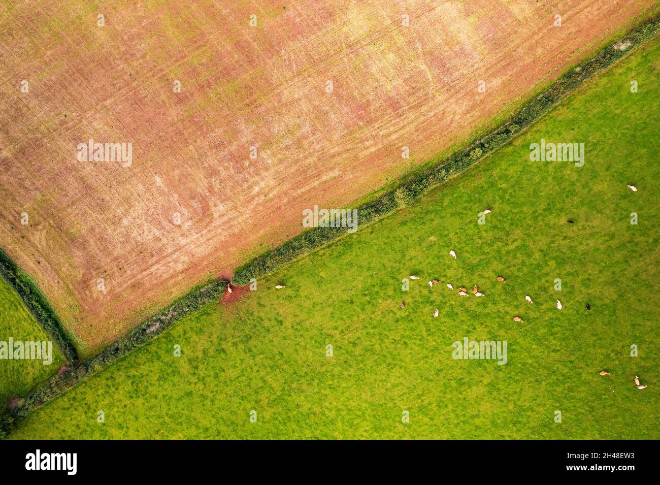 Aerial top down drone view hi-res stock photography and images - Alamy
