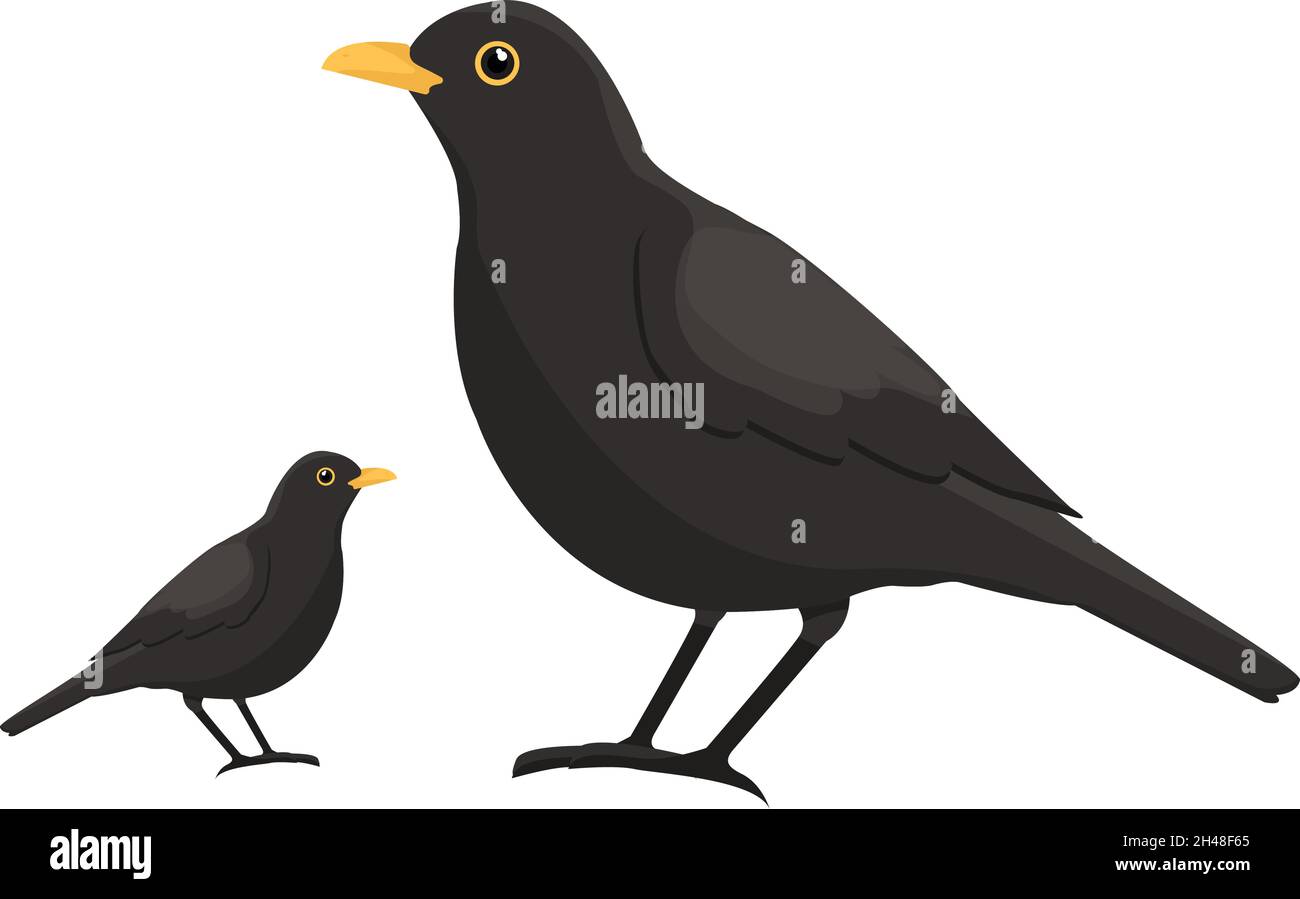 Seamless background on black Cut Out Stock Images & Pictures - Alamy