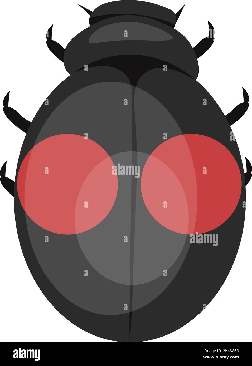 Lady beetle, illustration, vector on a white background Stock Vector ...