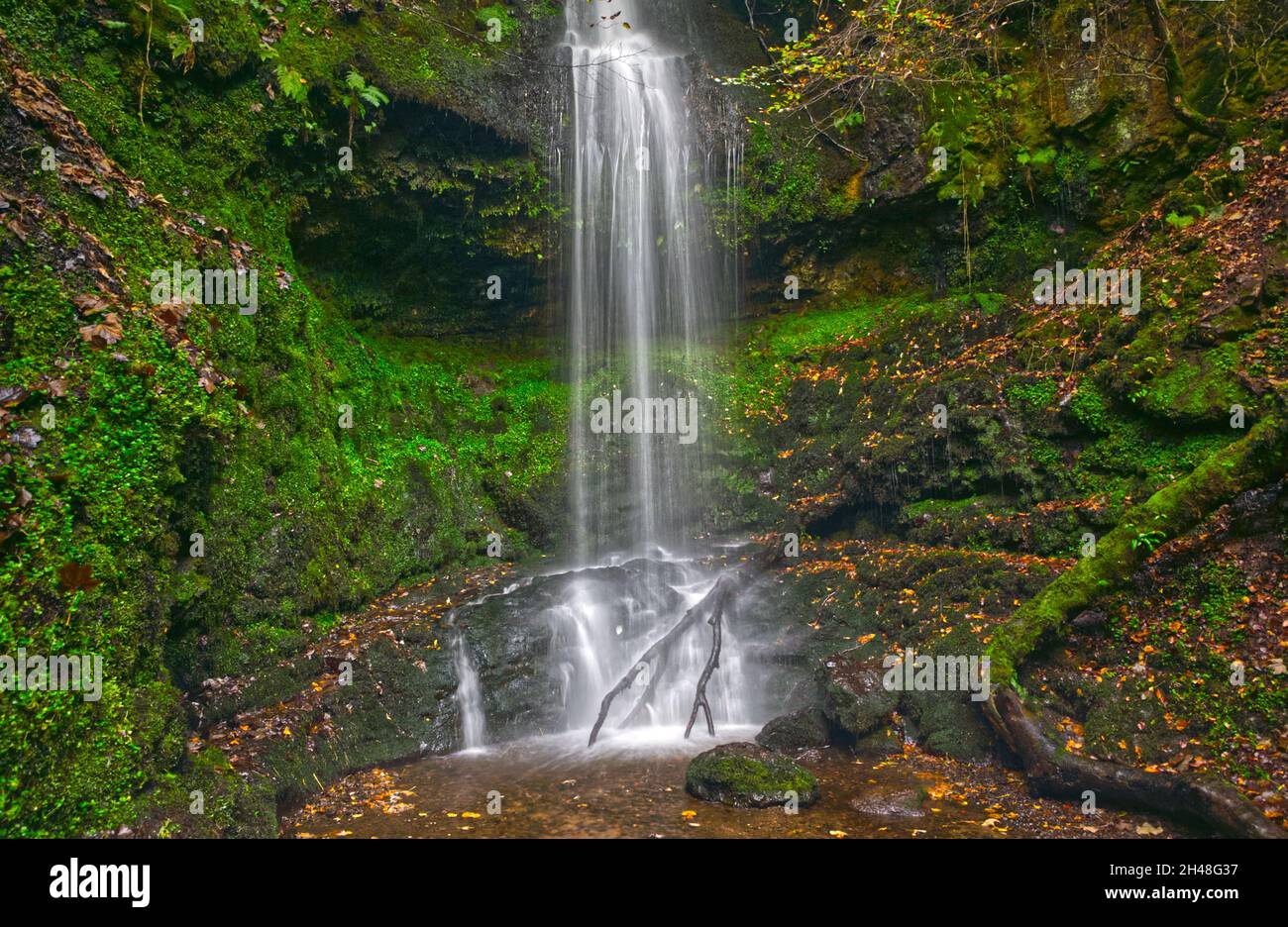 Craigie Linn Waterfall Stock Photo - Alamy