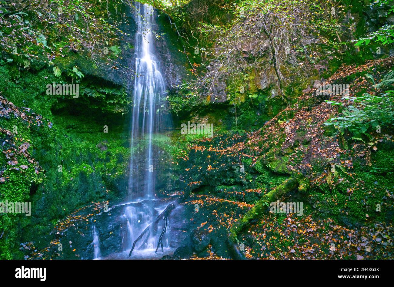Craigie hi-res stock photography and images - Alamy