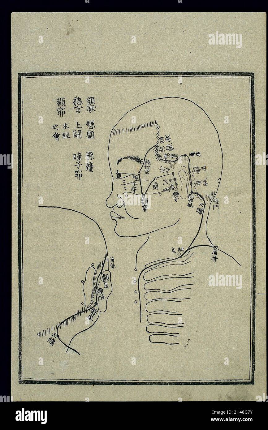 Acu-moxa chart: Triple Burner channel in the head and neck Stock Photo ...