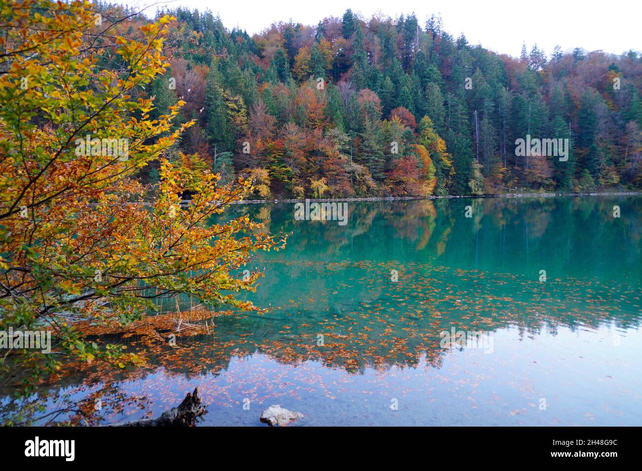 Emerald green water hi-res stock photography and images - Alamy