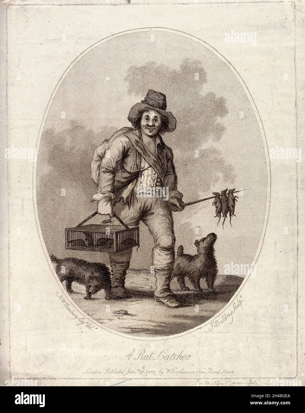 A rat catcher accompanied by two dogs carrying a cage of live rats in his right hand and a sharpened wooden stick with dead rats dangling from it in his left. A rat catcher