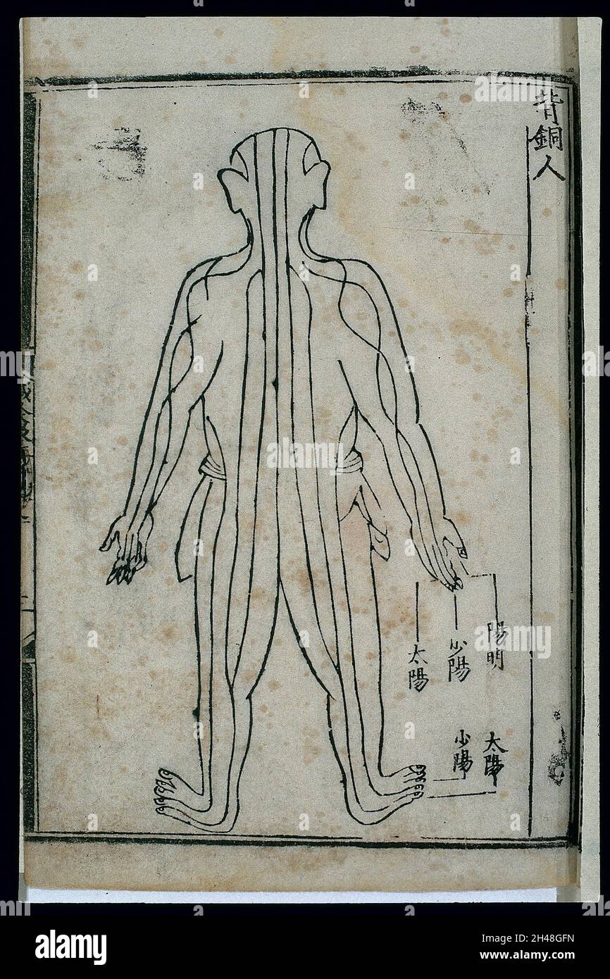Bronze Man acupuncture figurine, back view, Chinese woodcut Stock Photo ...
