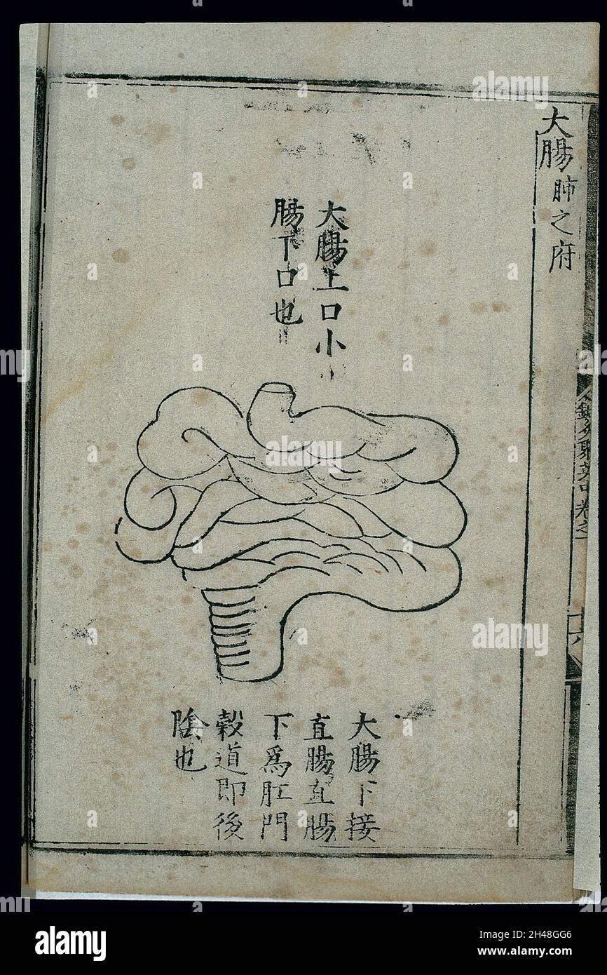 Anatomy of the large intestine in ancient Chinese medicine Stock Photo ...