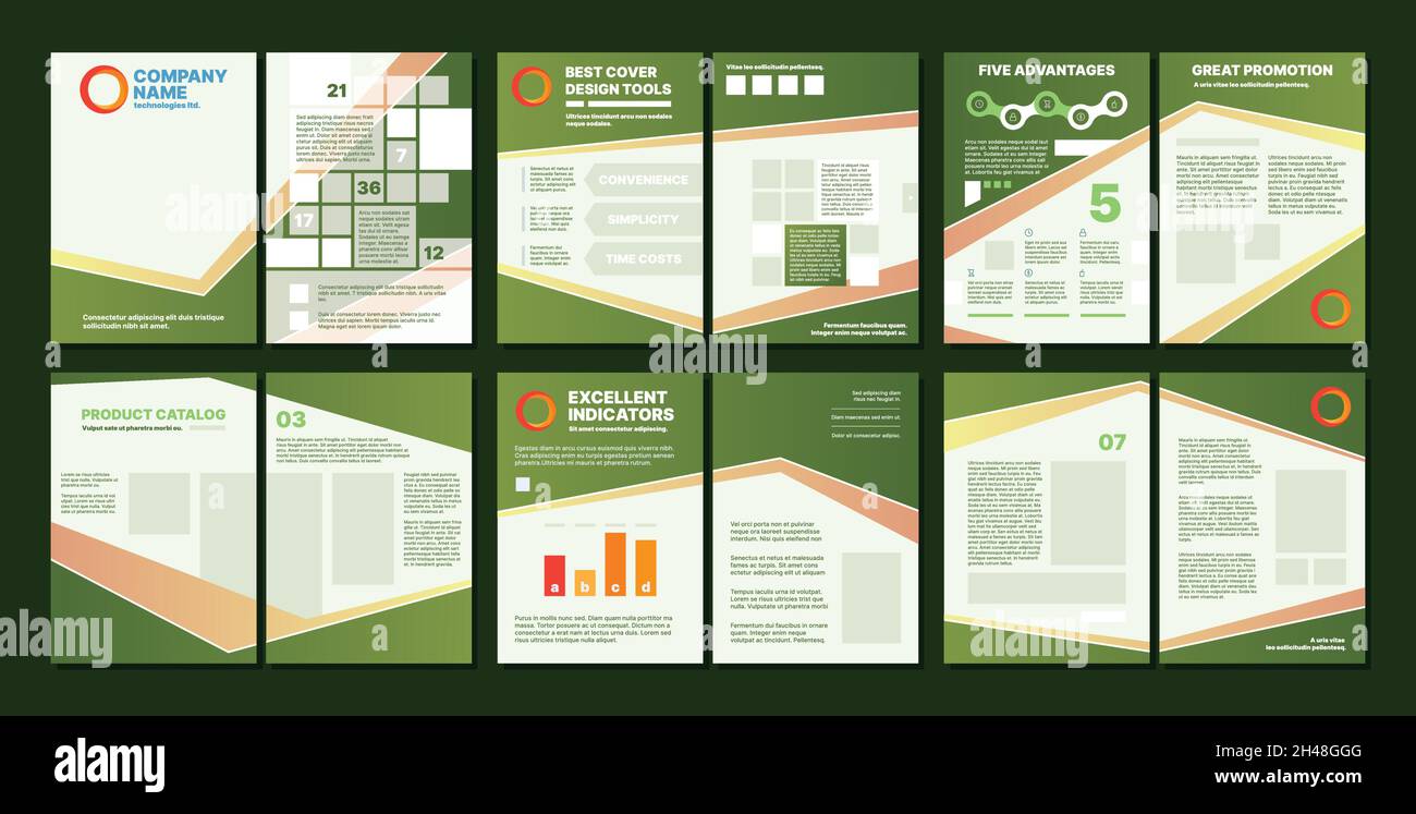 Business magazine. Brochure pages layout presentation frame boxes ...