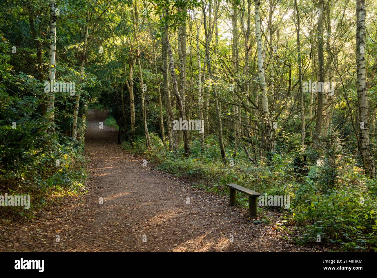 Autumn at Bestwood Country Park, Nottingham Nottinghamshire England UK ...