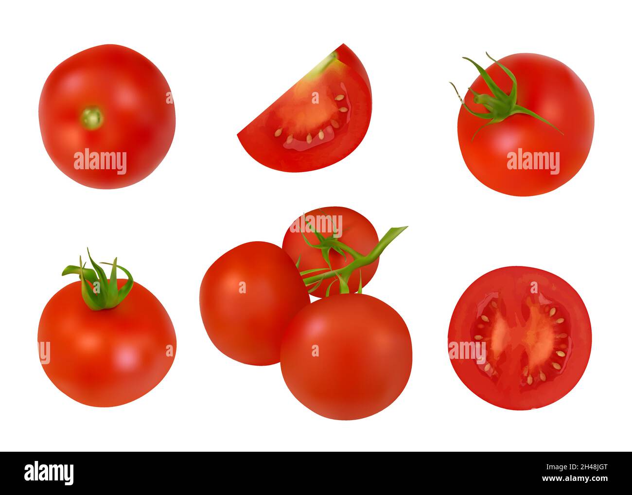 Tomatoes set. Organic closeup healthy plants red vegetables decent ...