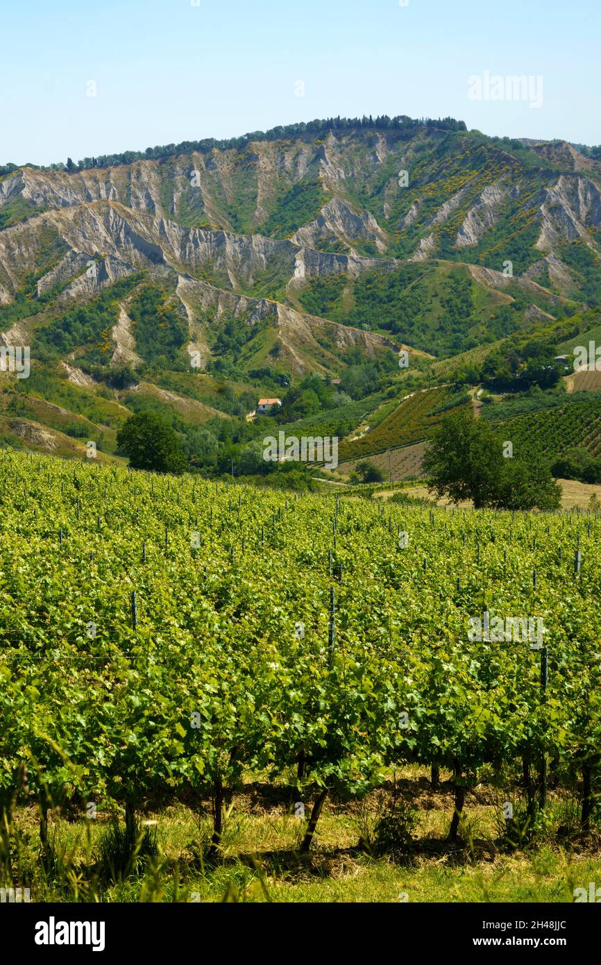 Country landscape on the hills in the Bologna province, Emilia-Romagna ...