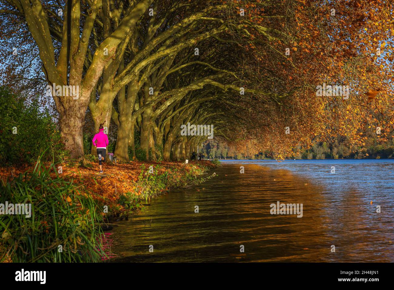 Essen, North Rhine-Westphalia, Germany - Young woman jogging on lake ...