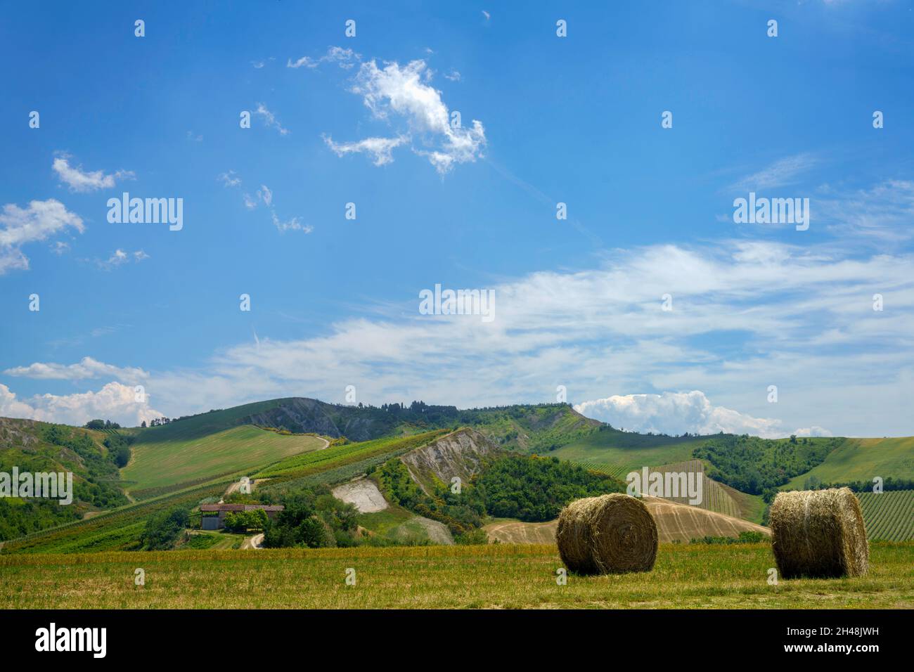 Country landscape on the hills in the Ravenna province, Emilia-Romagna ...