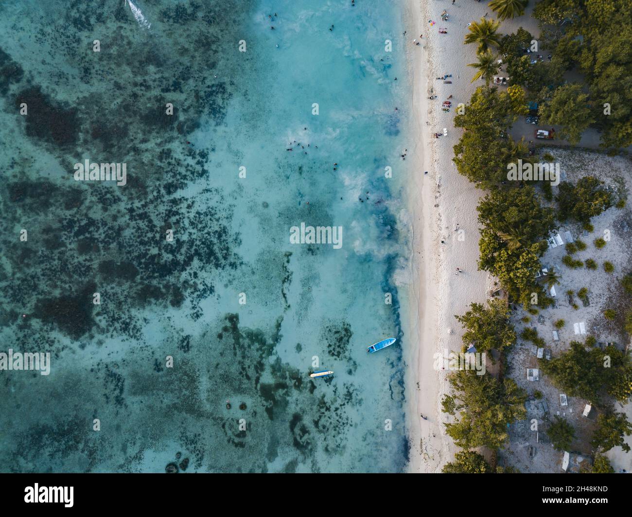 Aerial shot of the Bayahibe Beach surrounded by the sea and greenery in ...
