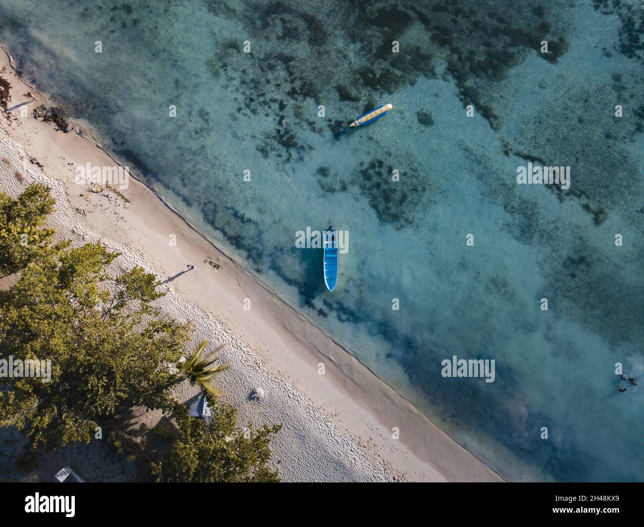Aerial shot of the Bayahibe Beach surrounded by the sea and greenery in ...