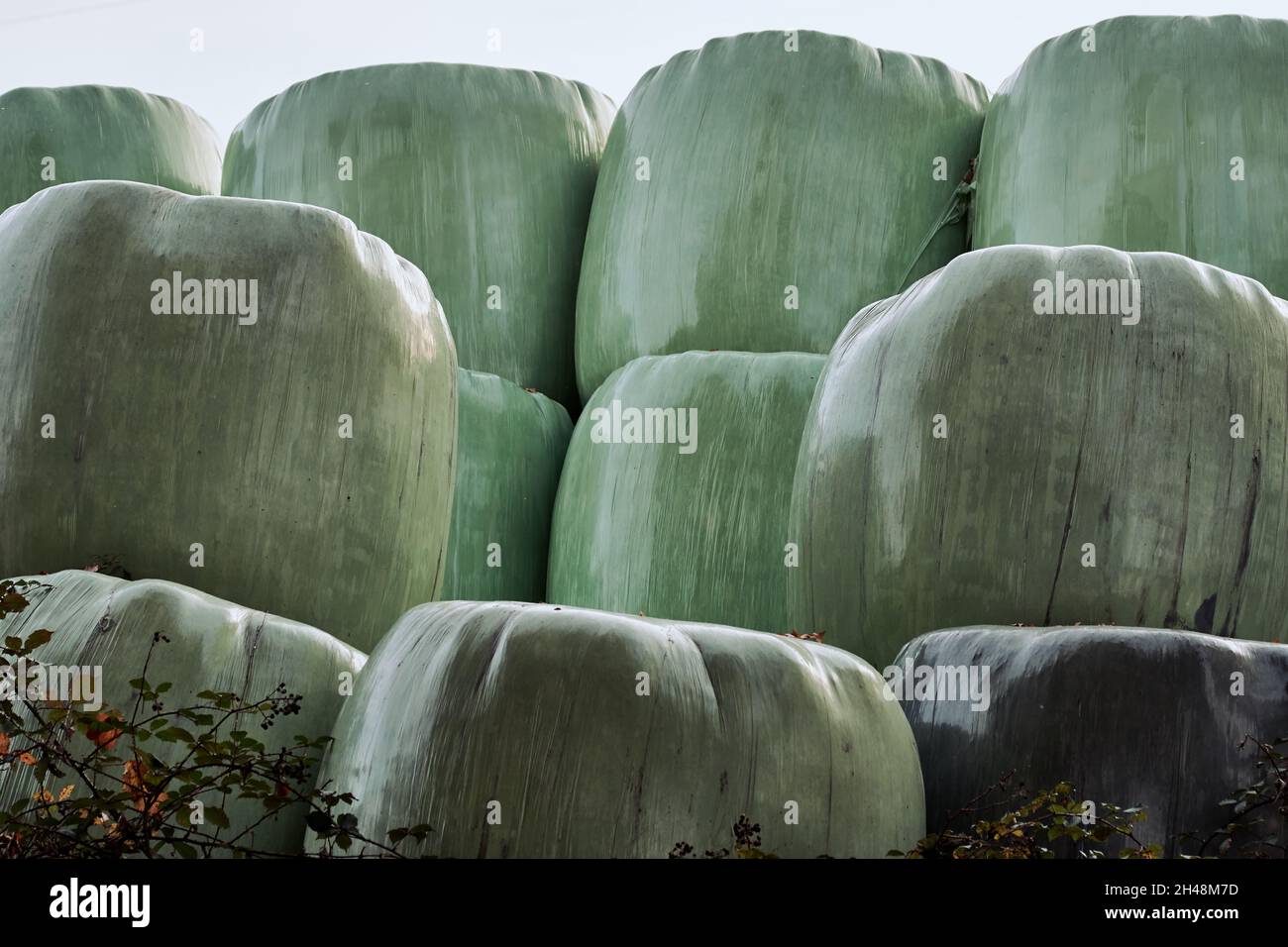 Plastic hay rolls hi-res stock photography and images - Alamy