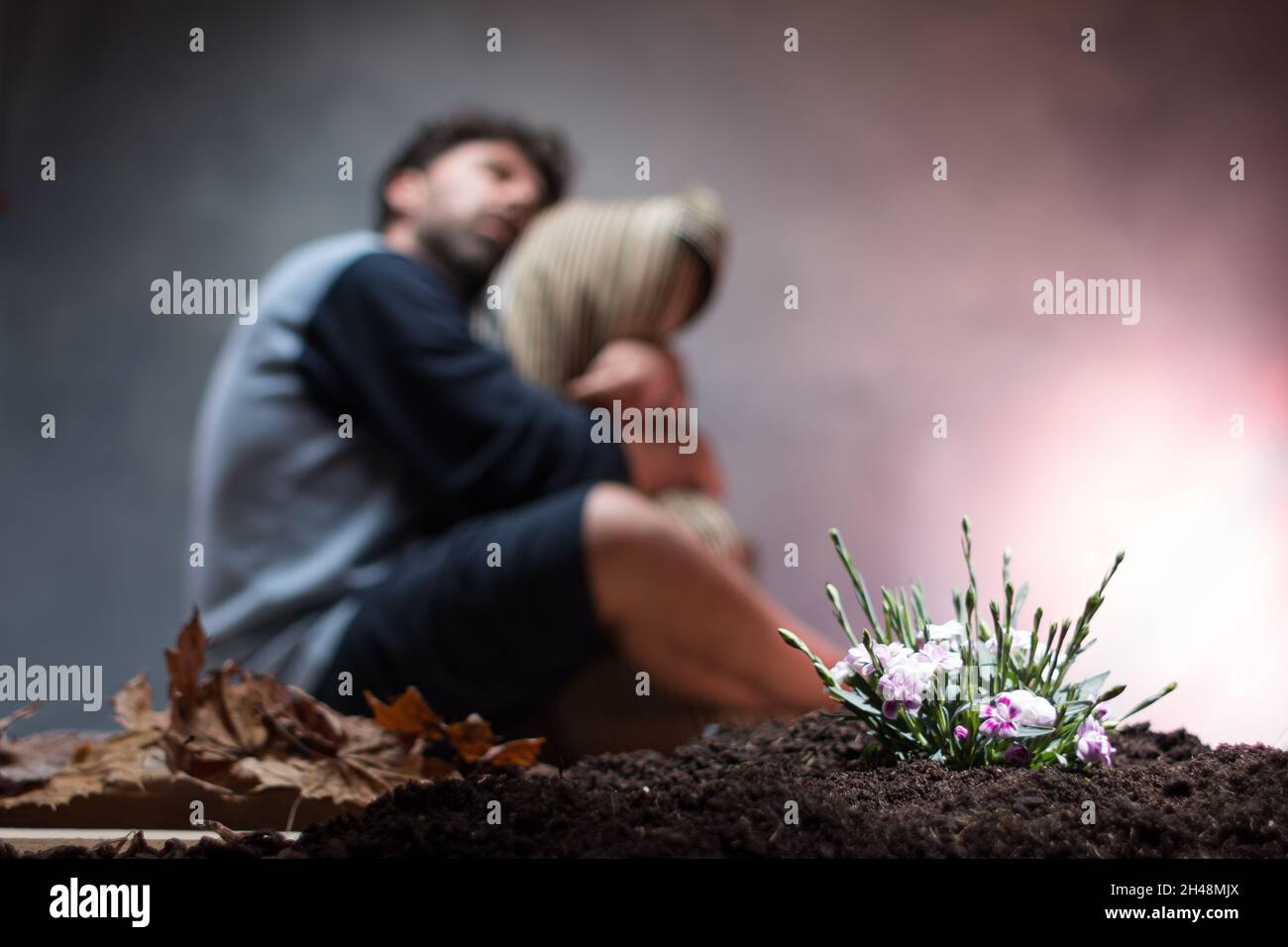 Plant on the soil with a blurred sad disappointed male, looking up ...